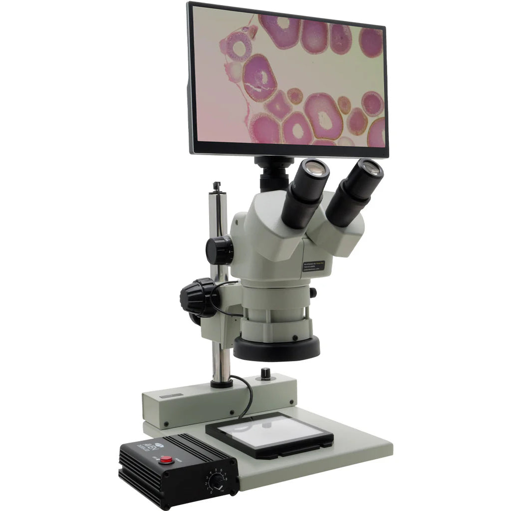 Aven Tools 26800B-725 - Microscope, Stereo Zoom (Trinocular) 6.75x ~ 5 ...